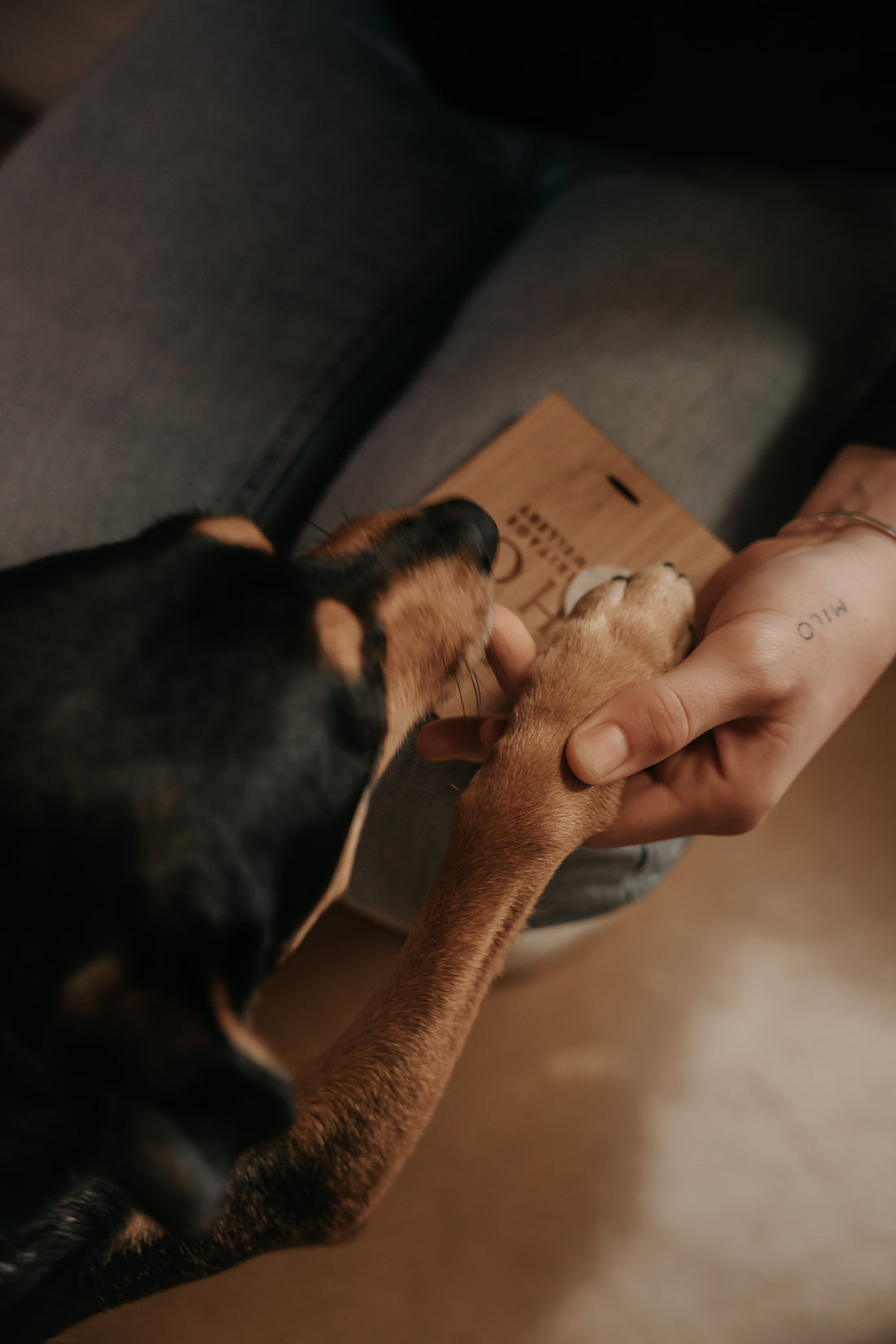 Pet Impression Jewellery – ROHO Heritage Jewellery